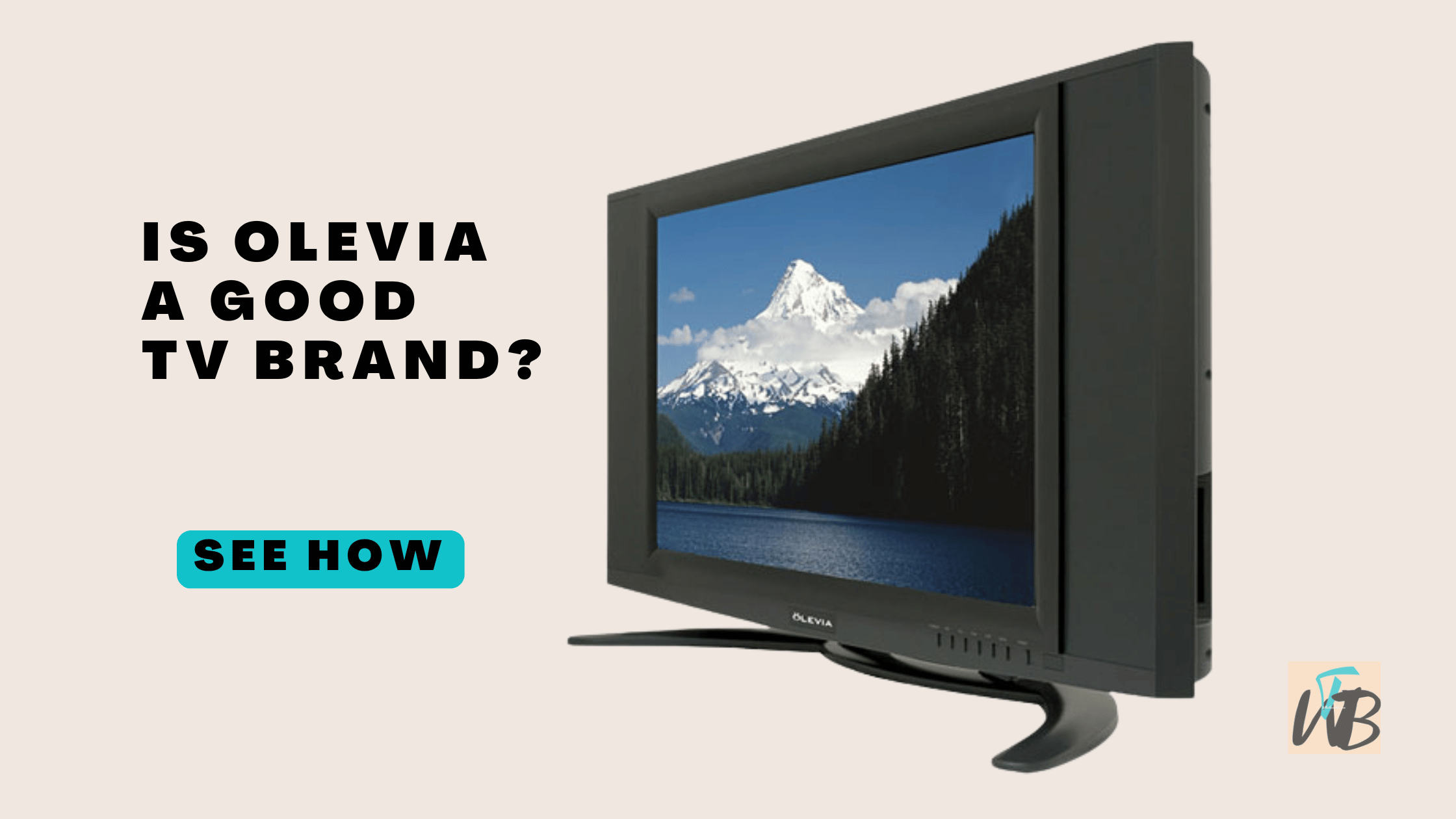 Is Olevia A Good Tv Brand? (Honest Answer) - Whoihavetobe